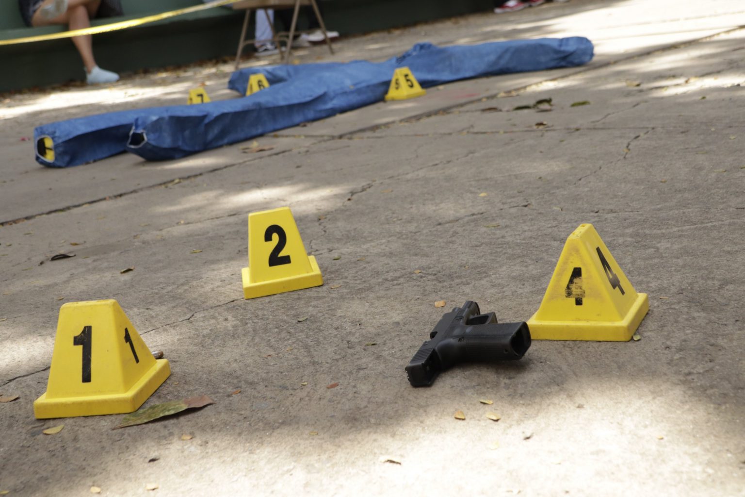 El rol del criminólogo en el sistema de justicia de Puerto Rico ...